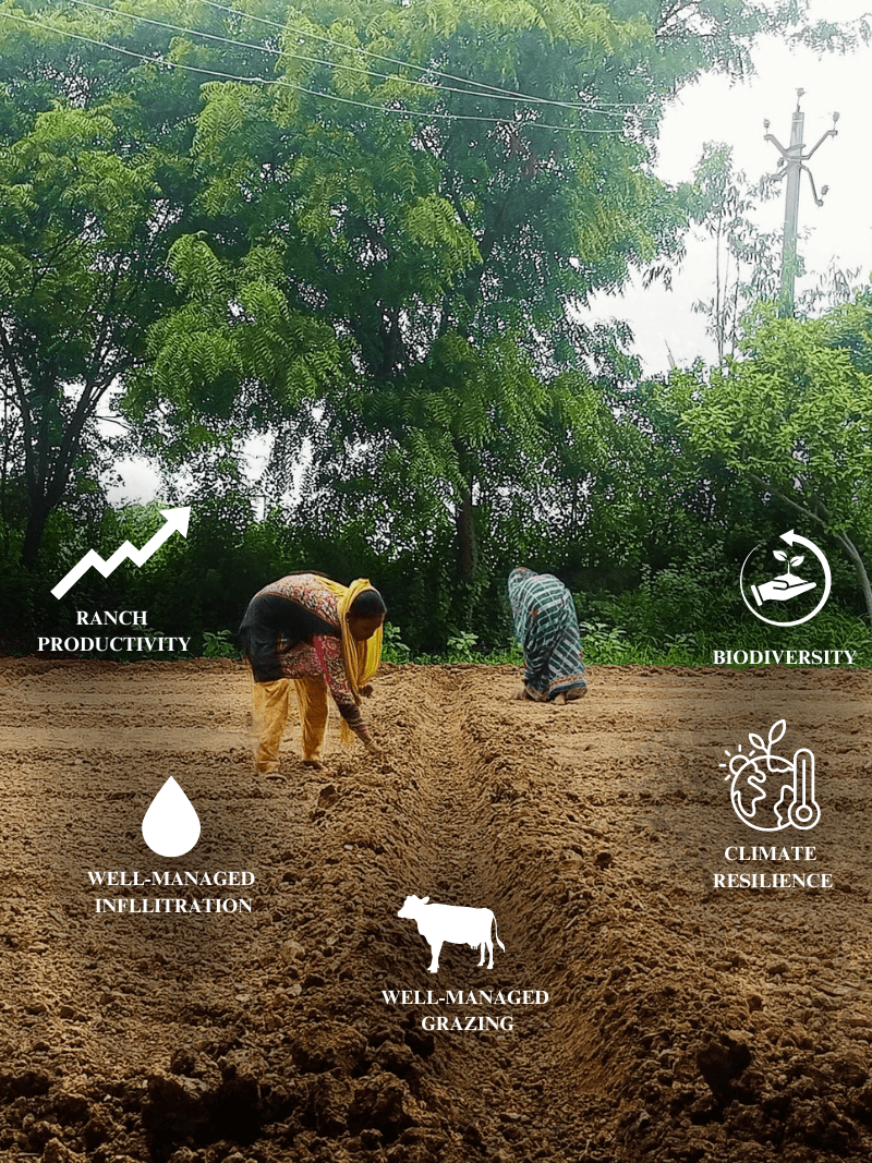 Urvee Organic Farms